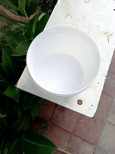 nergiz necef listening Azərbaycan ᐈ Donlar 365 elan lalafo.az