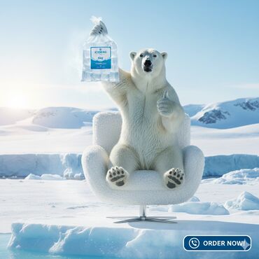 ICEBERG ICE — кубики льда премиум: Договорная Чай, кофе, напитки ...