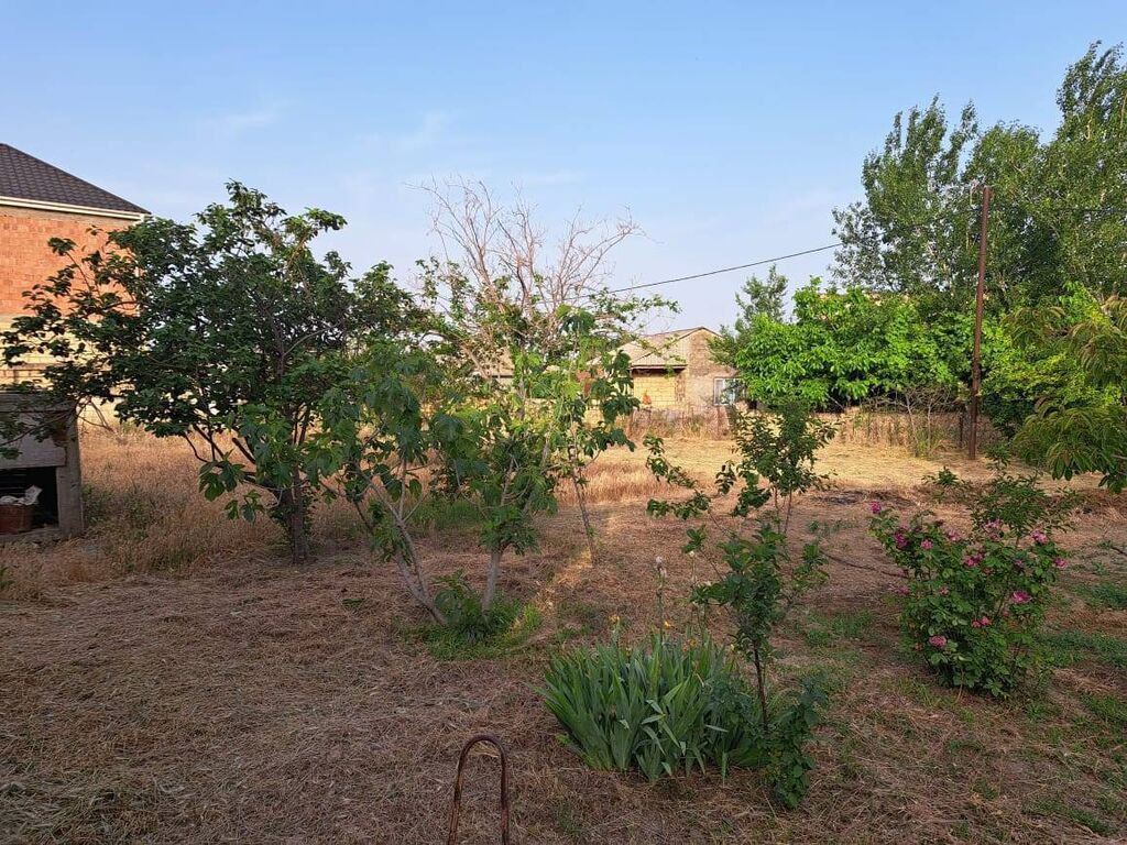 Abşeron rayonu, Ceyranbatan qəsəbəsi, Seymur Quliyev: 36000 AZN Torpaq ...