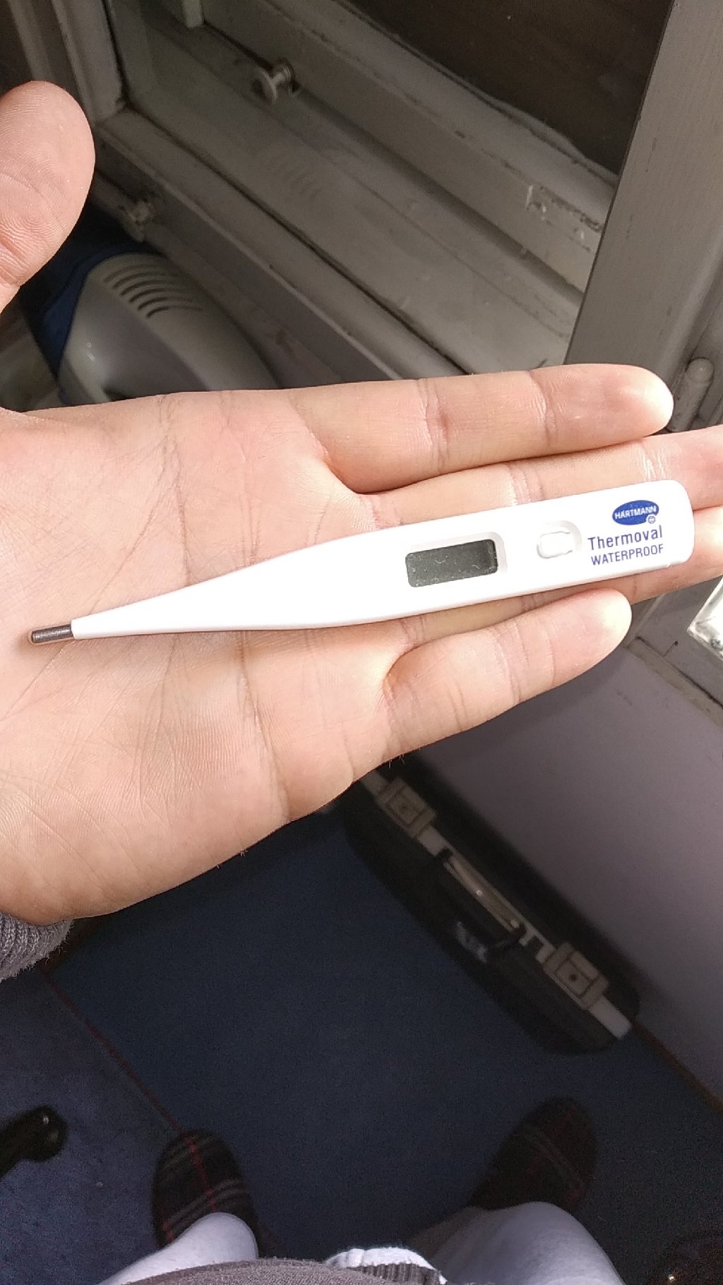 Thermoval termometar Ispravan za merenje temperature: 400 RSD ᐈ ...