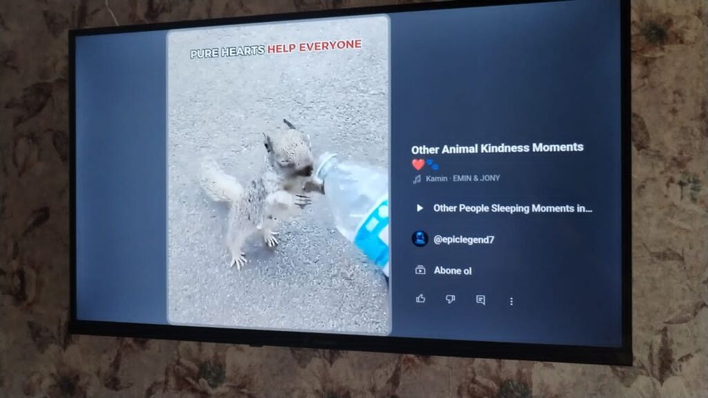 Televizor Zimmer Smart 170 azn Əla: 170 AZN Televizorlar | Bakı ...