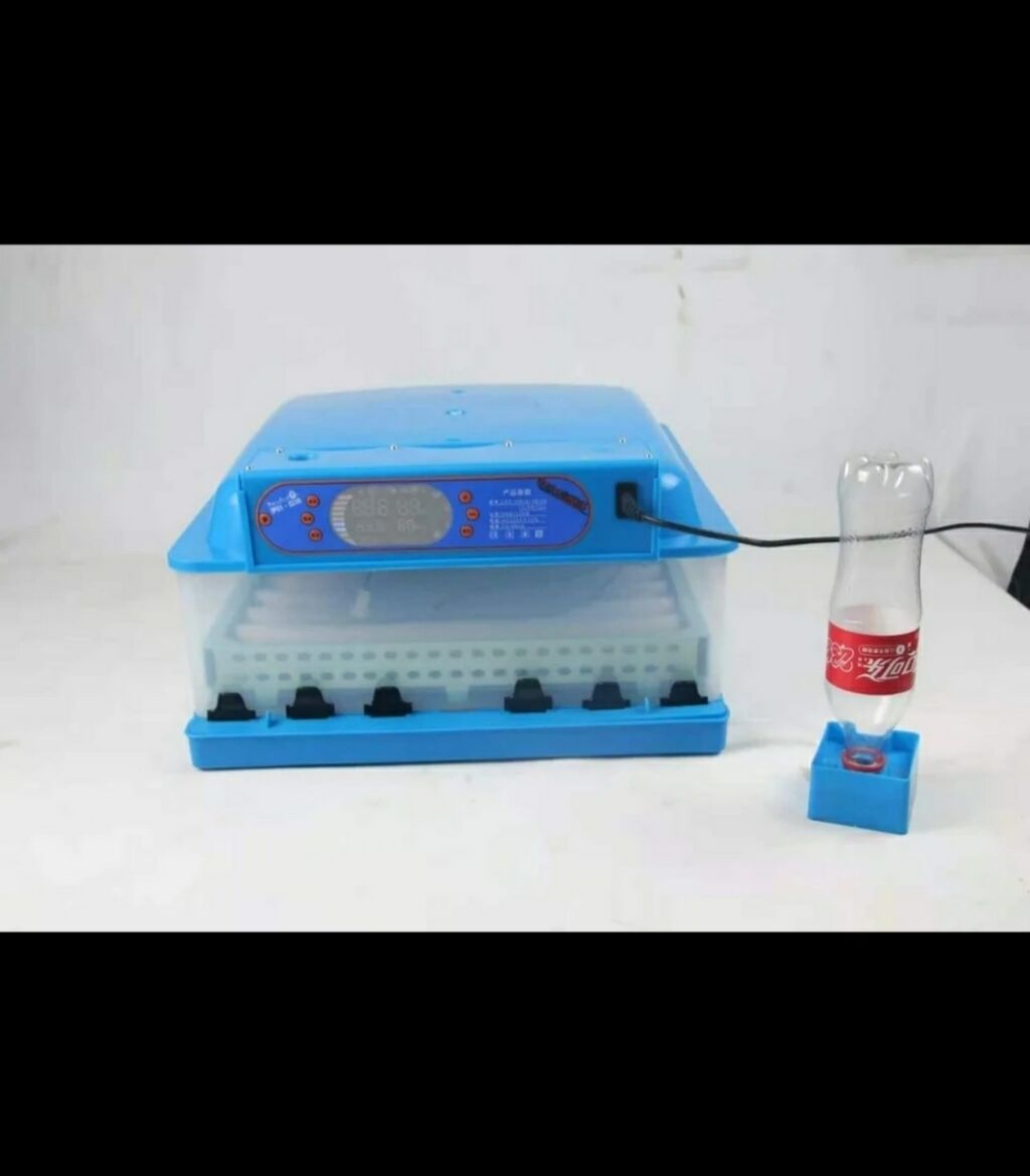 Inkubator inqibator inkibator inqubator incubator Ən: 250 AZN ...