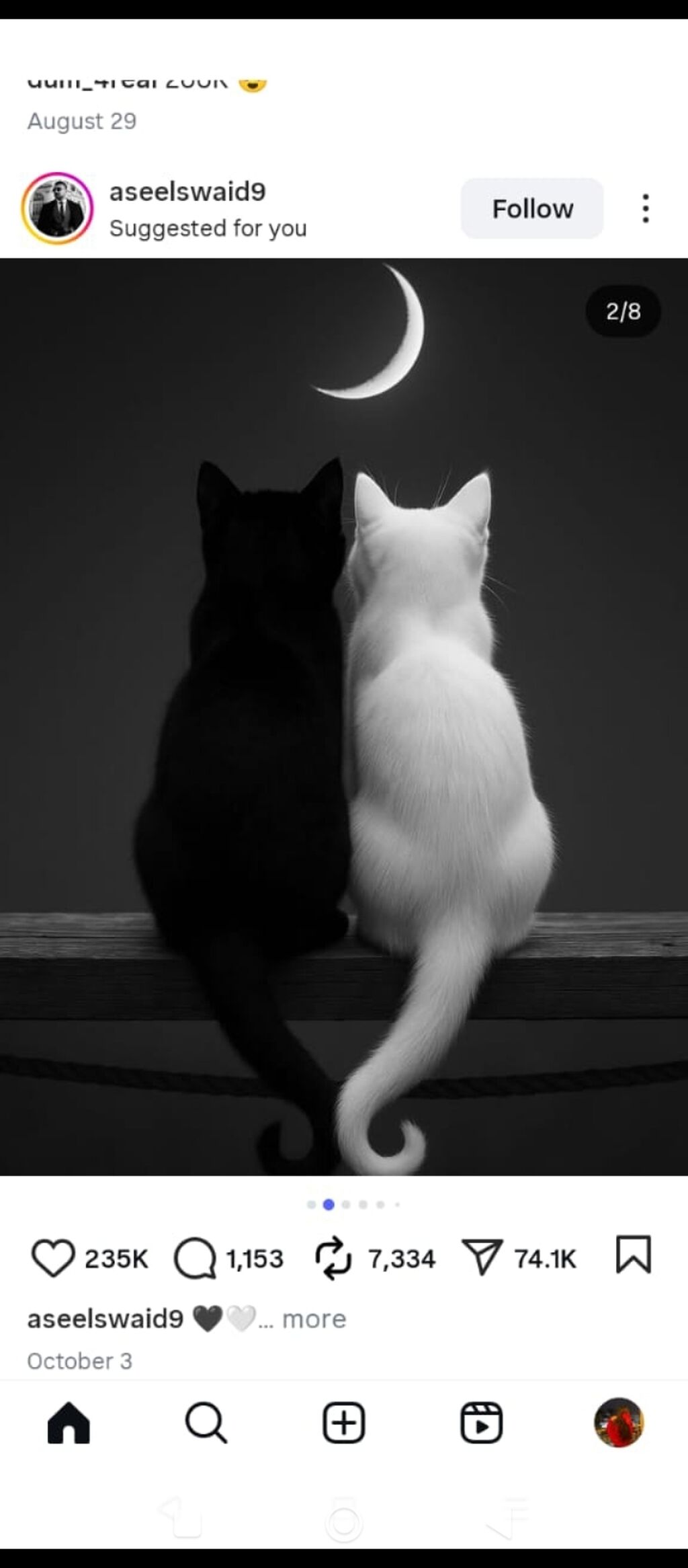 Məhsul: Qara-ağ pişiklər temalı bədii poster: Razılaşma yolu ilə Şəkillər, tablolar | Digah ...