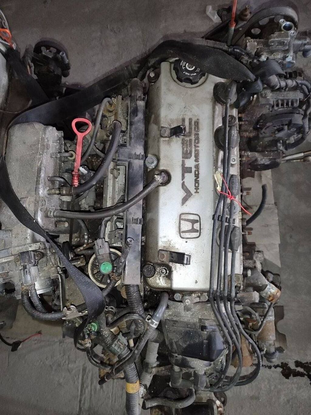 Двигатель Honda Accord CG 6 FB18: Договорная Двигатели, моторы и ГБЦ ...